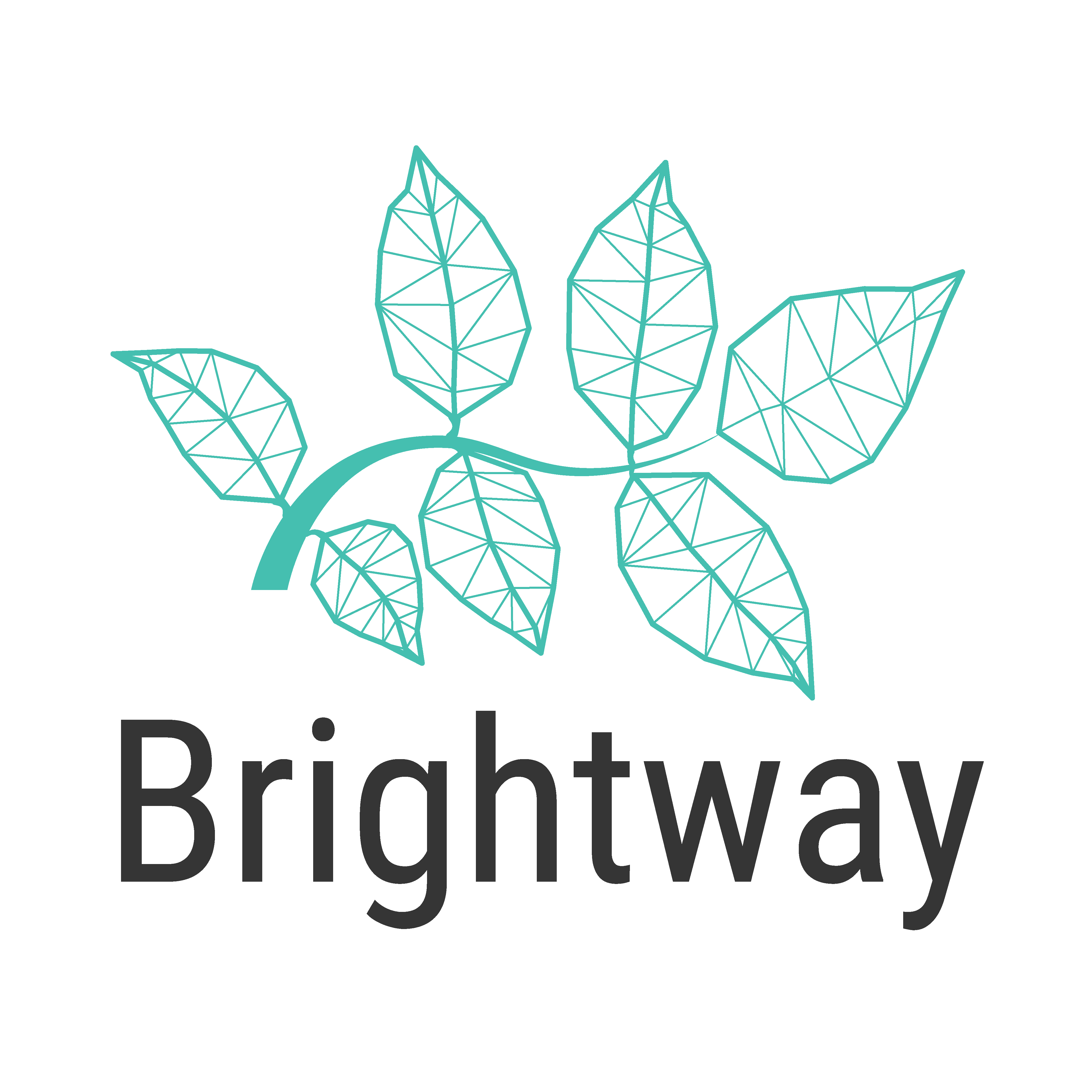 Getting started with Brightway25! | Haitham